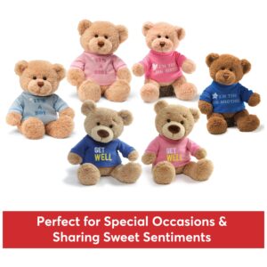 GUND “It’s a Boy” Message Bear with Blue T-Shirt, Teddy Bear Stuffed Animal for Ages 1 and Up, Brown, 12”