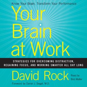 your brain at work: strategies for overcoming distraction, regaining focus, and working smarter all day long