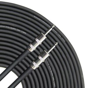 GLS Audio Speaker Cable 1/4" to 1/4" - 12 AWG Professional Bass/Guitar Speaker Cable for Amp - Black, 25 Ft.