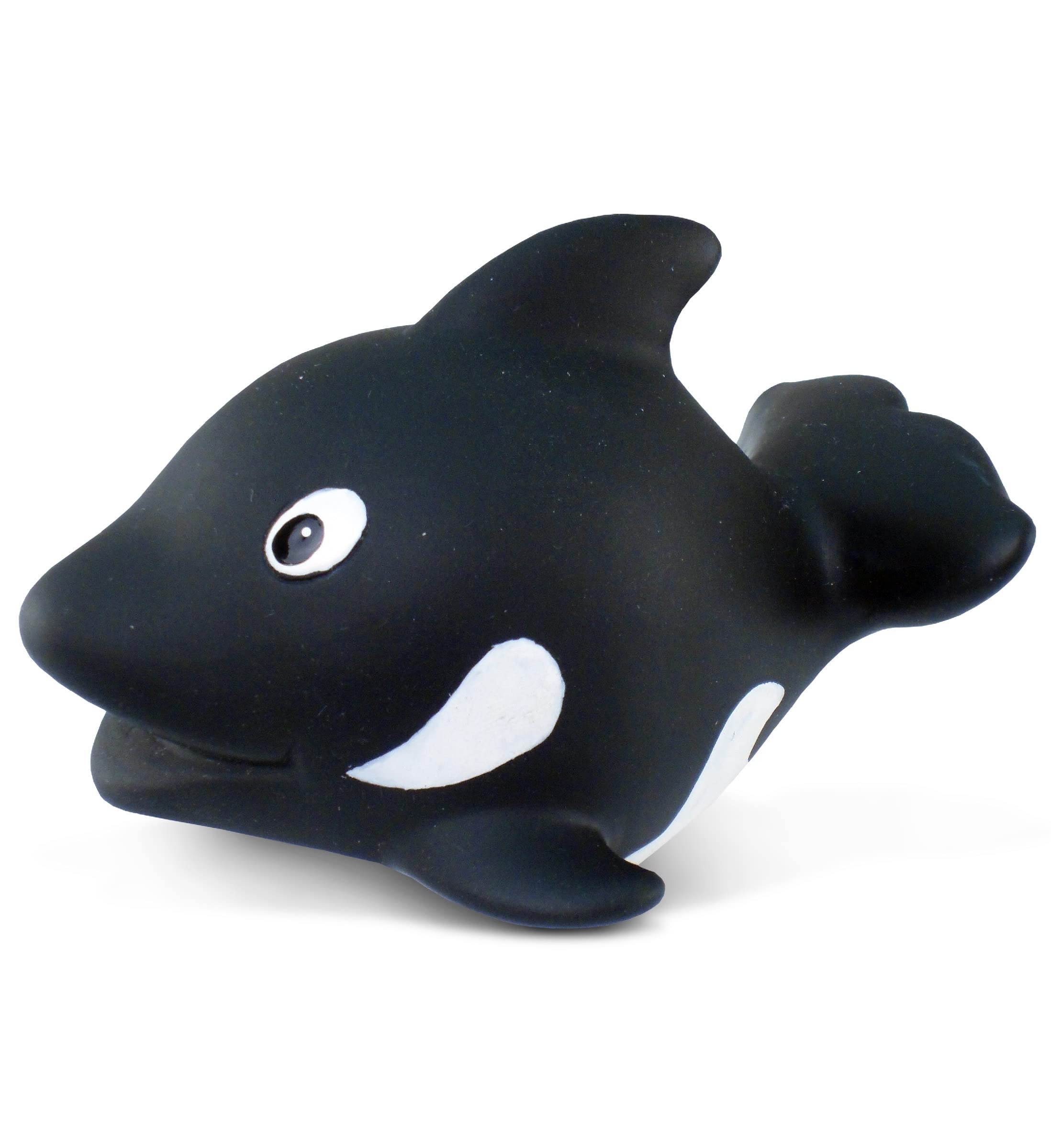 DolliBu Killer Whale Bath Buddy Squirter - Floating Orca Whale Rubber Bath Toy, Fun Water Squirting Bathtime Play for Toddlers, Cute Sea Life Animal Toy for The Bathtub, Beach & Pool for Girls & Boys