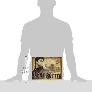 The Noble Collection Harry Potter Artefact Box