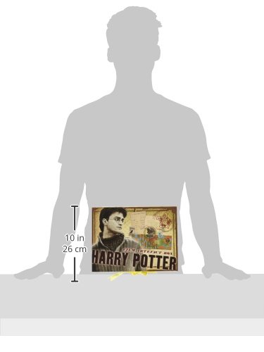 The Noble Collection Harry Potter Artefact Box