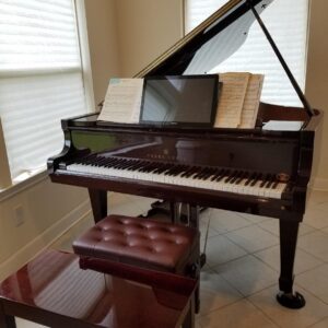 CPS Imports Walnut Wood Top Grand Piano Bench Stool with Music Storage