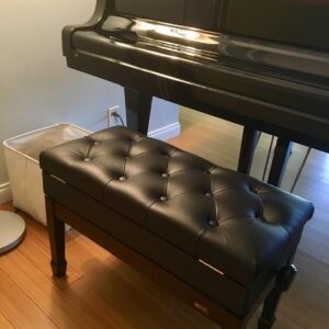 CPS Imports Genuine Leather Adjustable Duet Size Artist Piano Bench Stool in Ebony with Music Storage