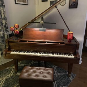 CPS Imports Adjustable Artist Piano Bench Stool in Walnut with Music Storage