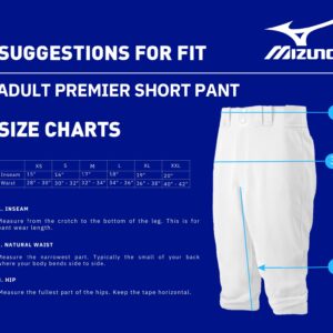 Mizuno Adult Men's Premier Short Knicker Baseball Pant, Below the Knee Fit (White, Medium)