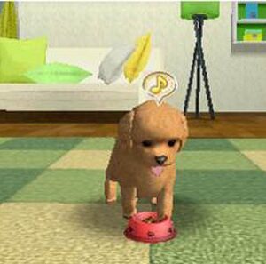 My Pet Puppy 3D - Nintendo 3DS