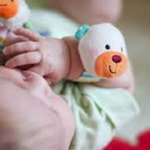 Infantino Wrist Rattles - Lamb and Bear