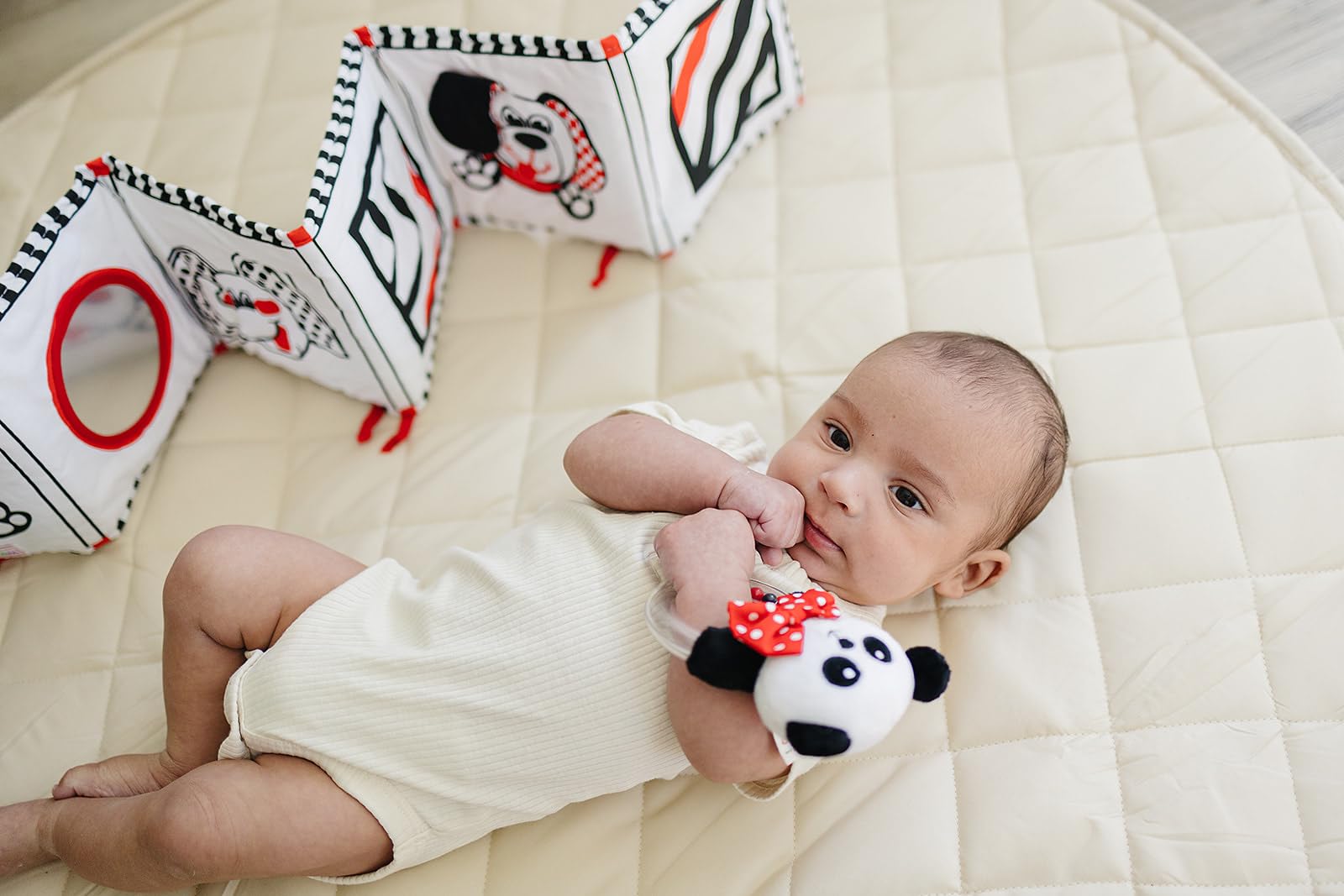 Baby Rattle in High-Contrast Black, White, Red - 5" Tall - Baby Rattle with Cute Panda Face - Perfect Size for Small Hands - Teach Baby to Grasp and Shake by Genius Baby Toys