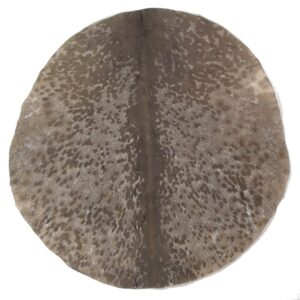 djembe drum african spotted goatskin drum head, hair-off goat skin from mali