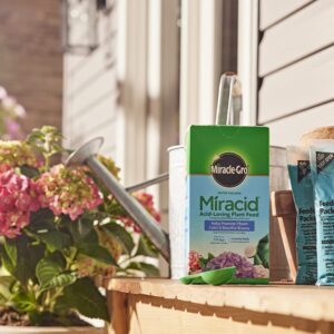 Miracle-Gro Water Soluble Miracid Acid-Loving Plant Food