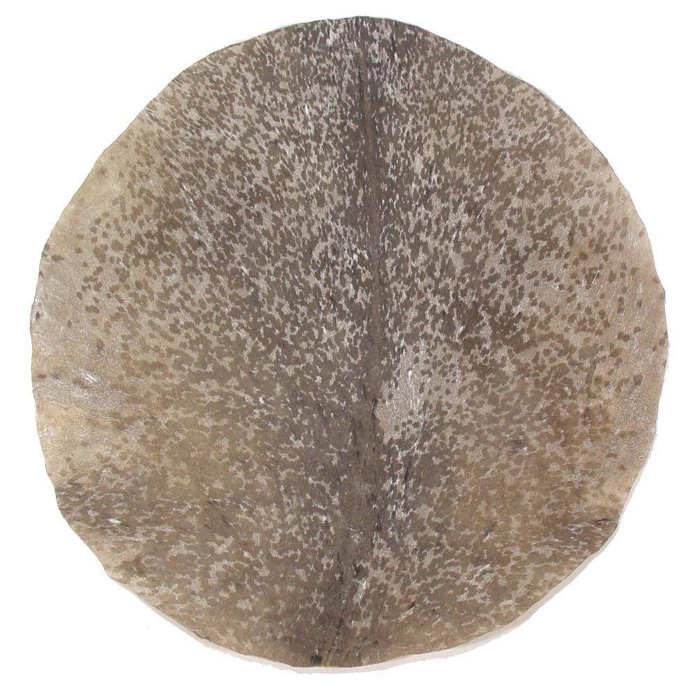 Djembe Drum African Spotted Goatskin Drum Head, Hair-off Goat Skin From Mali