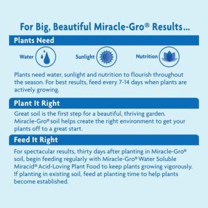 Miracle-Gro Water Soluble Miracid Acid-Loving Plant Food