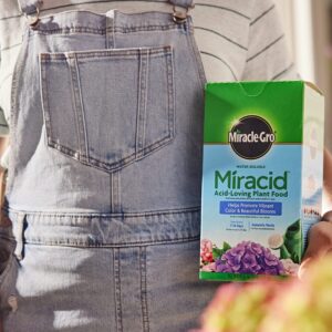 Miracle-Gro Water Soluble Miracid Acid-Loving Plant Food