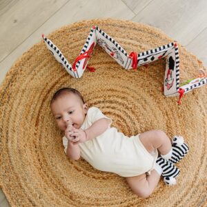 Genius Babies | Adorable Black & White Pair of Panda Baby Booties with Rattle Inside for Newborns and Infants