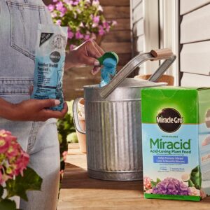 Miracle-Gro Water Soluble Miracid Acid-Loving Plant Food