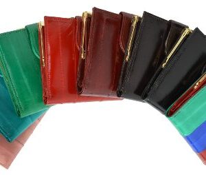 French Frame EEL Skin Leather Ladies Wallet #E573