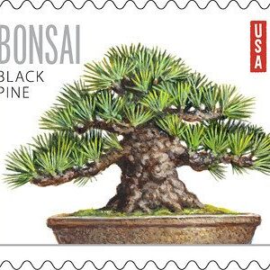 Bonsai Tree Booklet Pane of 20 x Forever Stamps Scott 4618-22