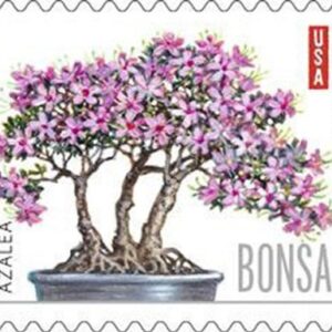 Bonsai Tree Booklet Pane of 20 x Forever Stamps Scott 4618-22