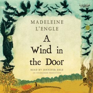 a wind in the door