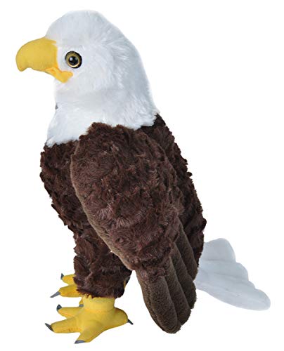 Wild Republic Bald Eagle Plush, Stuffed Animal, Plush Toy, Gifts for Kids, Cuddlekins 12 Inches