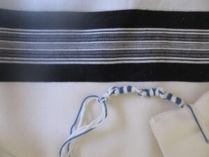 techelet tzitzit strings - made in israel by radzyn chassidim - 50 cm - thin