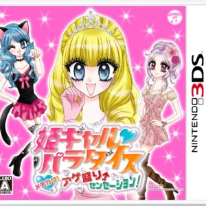 Hime Girl Paradise: Mechikawa! Age Sakari Sensation! [Japan Import]