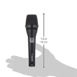 AKG Pro Audio P2 High-Performance Dynamic Bass Microphone, Black