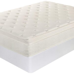 Night Therapy Spring 13 Inch Deluxe Euro Box Top Mattress and BiFold® Box Spring Set, Queen