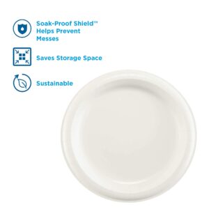 Dixie 8.5"Medium-Weight Paper Plates by GP PRO (Georgia-Pacific), White, UX9W, 1,000 Count (125 Plates Per Pack, 8 Packs Per Case)