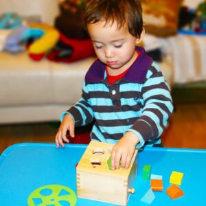 TOWO Wooden Shape Sorter - Sorting Box with Latch Lock - Rotating Wheel -Screw- and Shape Blocks- Sorting Cube Educational Toys for Kids Early Learning Montessori Materials