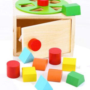 TOWO Wooden Shape Sorter - Sorting Box with Latch Lock - Rotating Wheel -Screw- and Shape Blocks- Sorting Cube Educational Toys for Kids Early Learning Montessori Materials