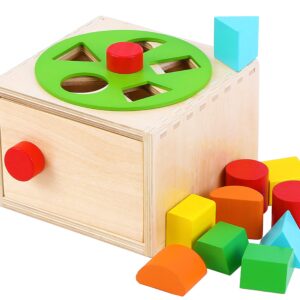 TOWO Wooden Shape Sorter - Sorting Box with Latch Lock - Rotating Wheel -Screw- and Shape Blocks- Sorting Cube Educational Toys for Kids Early Learning Montessori Materials