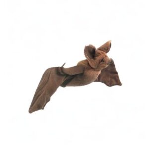 Mexican Free Tailed Bat 8.5" by Wild Life Artist