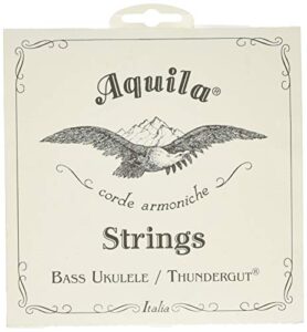 aquila strings for bass ukulele (staquil-53235)