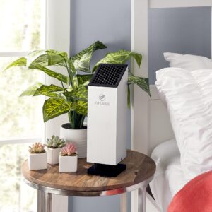 Air Oasis 1000G3 Air Purifiers, Brushed Aluminum