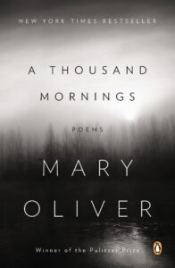 a thousand mornings: poems