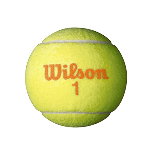 WILSON Sporting Goods Starter Orange Tennis Ball - 48 Pack,WRT13730B