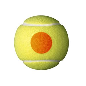 WILSON Sporting Goods Starter Orange Tennis Ball - 48 Pack,WRT13730B