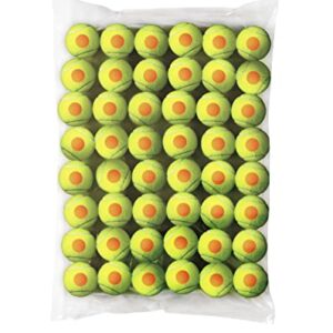 WILSON Sporting Goods Starter Orange Tennis Ball - 48 Pack,WRT13730B