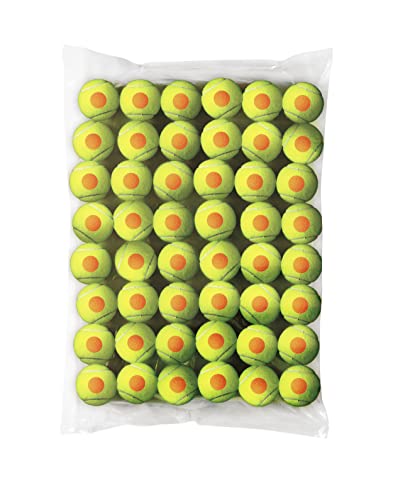 WILSON Sporting Goods Starter Orange Tennis Ball - 48 Pack,WRT13730B