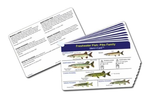 Ident-I-Cards Fish Set of 9 Freshwater Fish Identification Cards