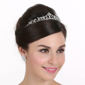 Bridal Princess Rhinestones Crystal Flower Wedding Tiara Crown - Silver Plating T463