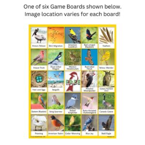 Lucy Hammett - Bird Bingo Game - 6 Unique Picture Boards, 42 Informative Cards - Family Learning Fun for All Ages