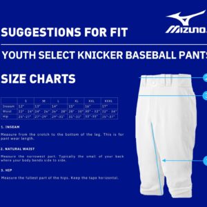 Mizuno Youth Select Short Knicker Baseball Pant, Below the Knee Fit (White, X-Large)