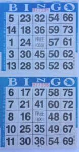 american games inc 3000 paper bingo cards-2 cards per sheet-1500 sheets [choose color below] (blue)