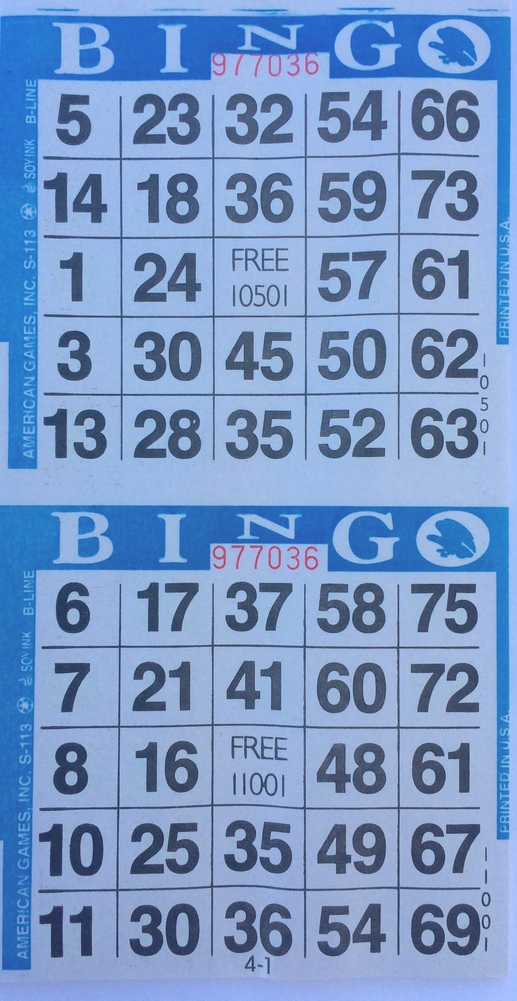 American Games INC 3000 Paper Bingo Cards-2 Cards per sheet-1500 Sheets [Choose Color Below] (Blue)