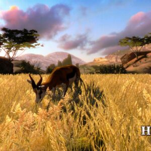 Cabela's Hunting Expeditions - Xbox 360