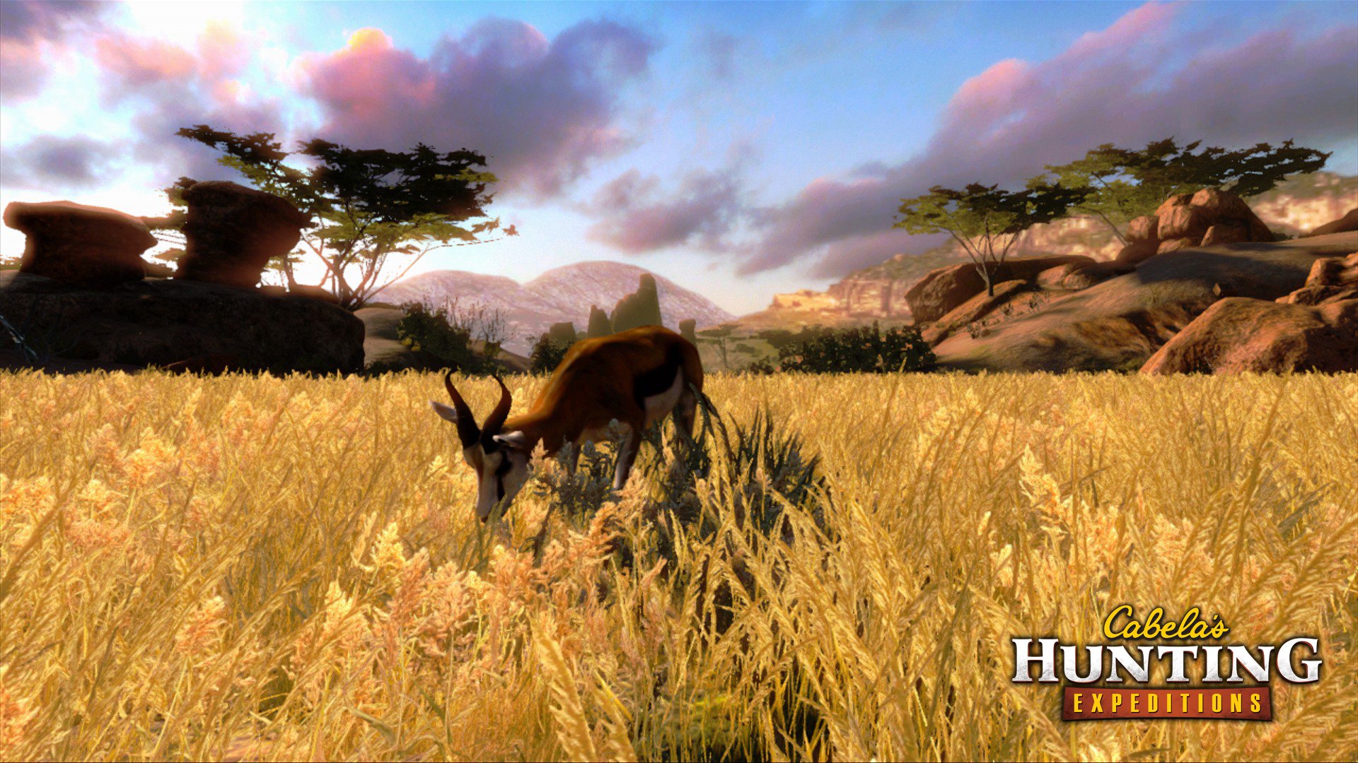 Cabela's Hunting Expeditions - Xbox 360