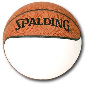 spalding nba mini autograph basketball